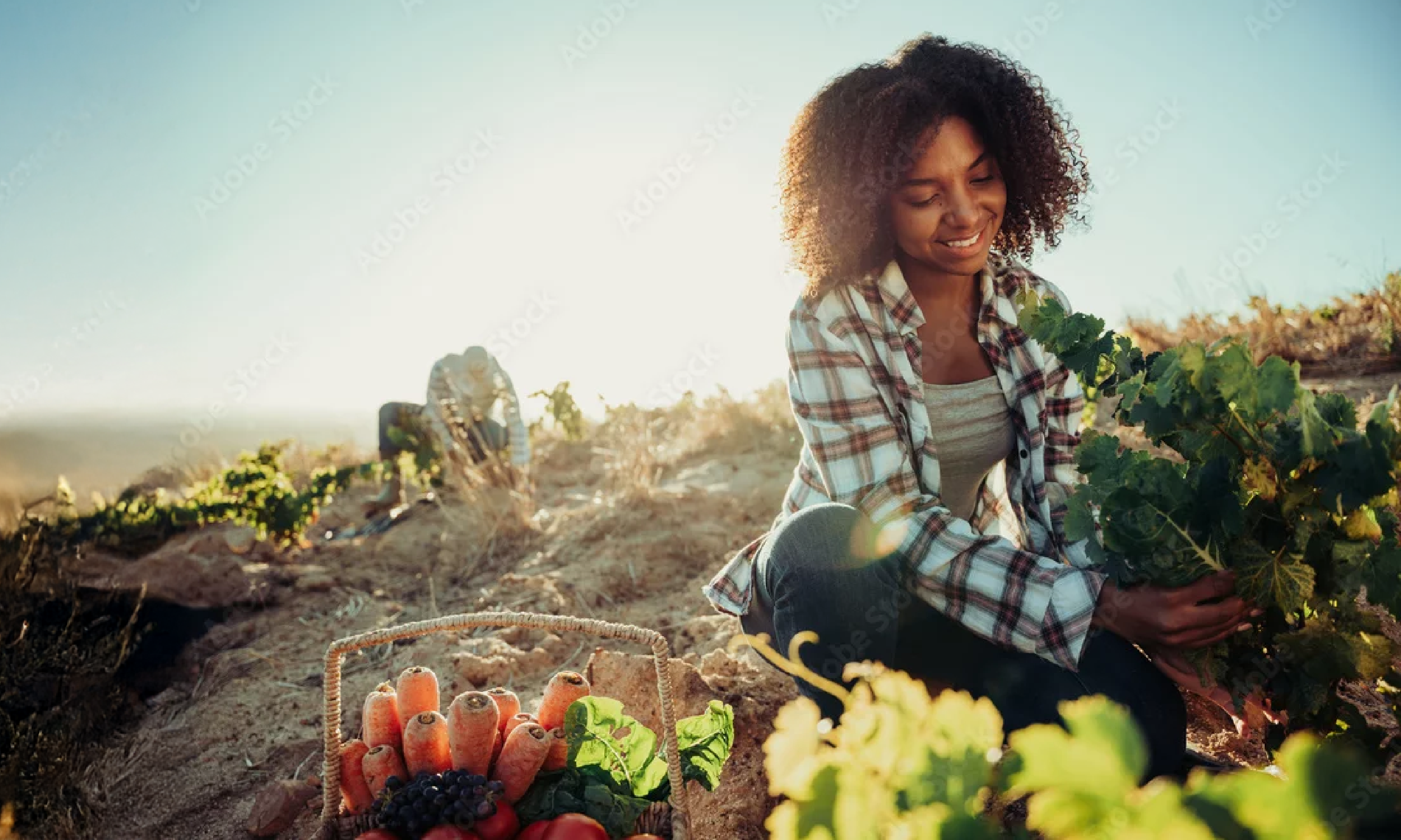 Growing Green Spaces | San Diego Foundation